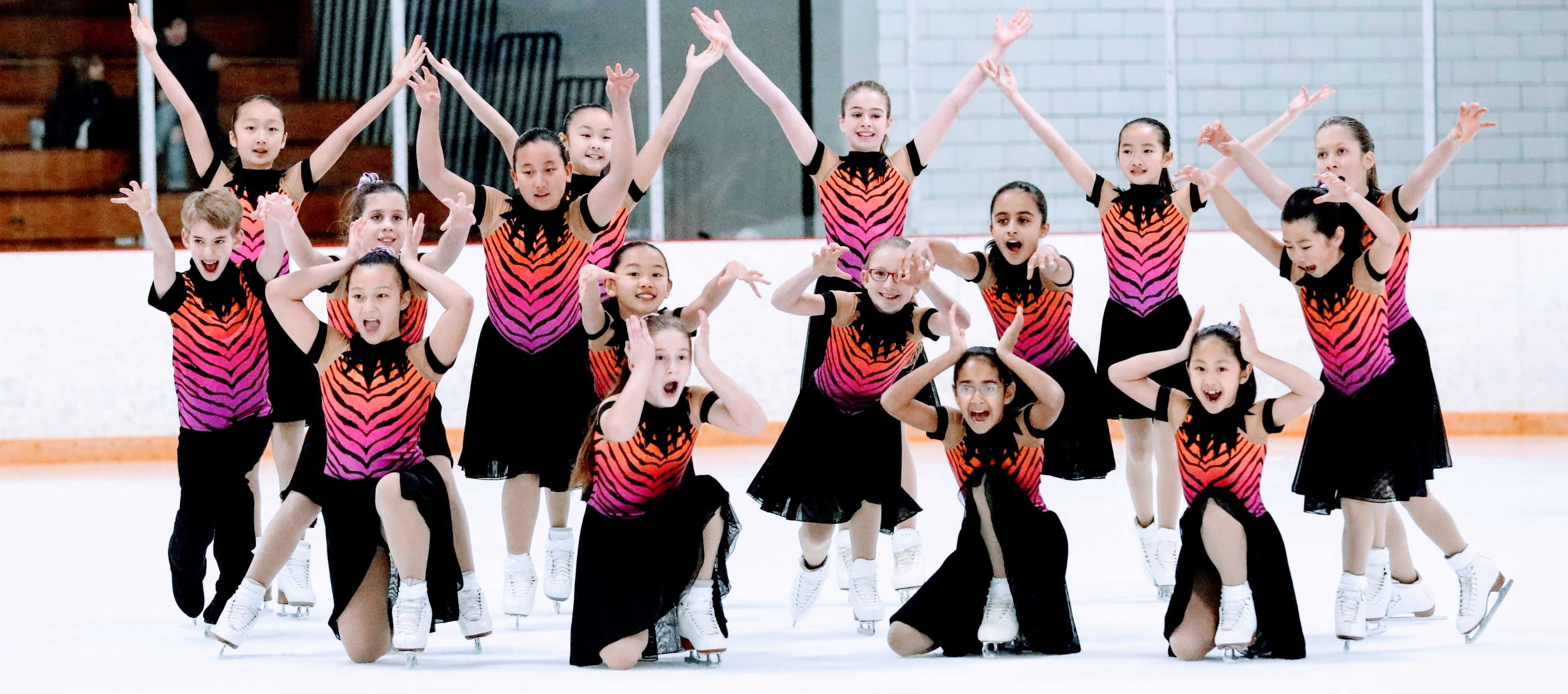Home | Hayden Synchronized Skating